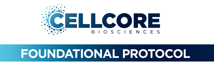 Step 1: Energy & Drainage from CellCore Biosciences – The Drs Wolfson Shop